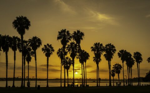 North County Navigator | Your Guide to North San Diego County